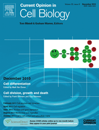 The Iannis Aifantis Lab